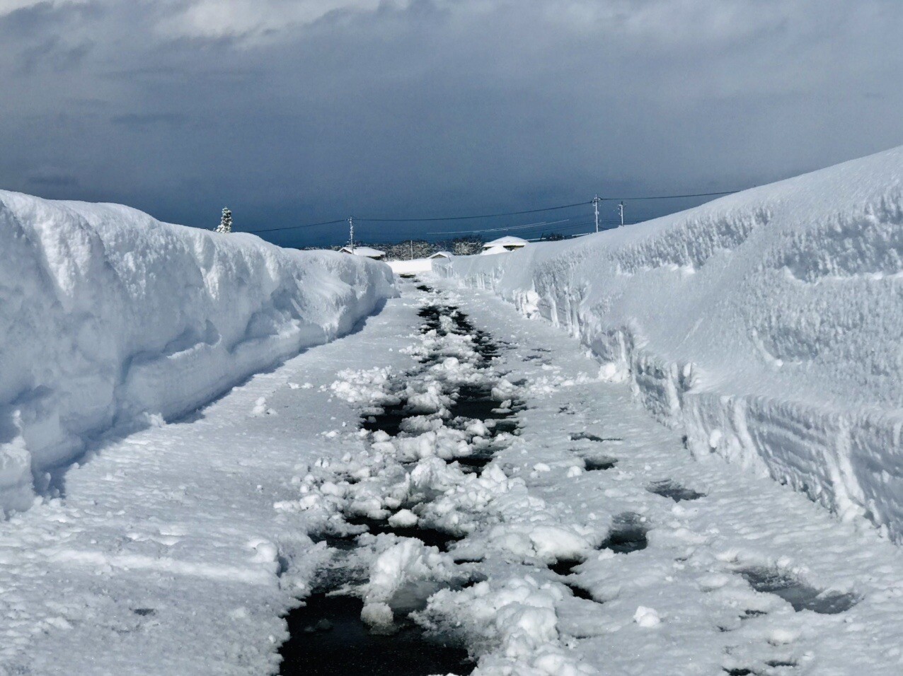 寒波襲来！壮絶な大雪。何とか自宅付近を除... / Go Kidさんのモーメント | YAMAP / ヤマップ