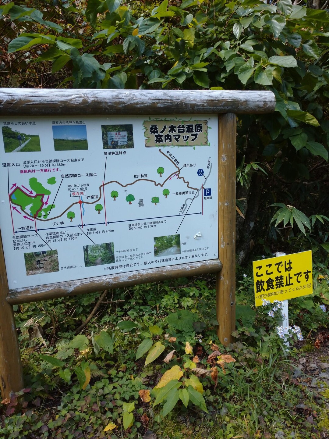 月山、鳥海山笙ヶ岳と 二週登山が続いたの... / rukkoさんのモーメント | YAMAP / ヤマップ