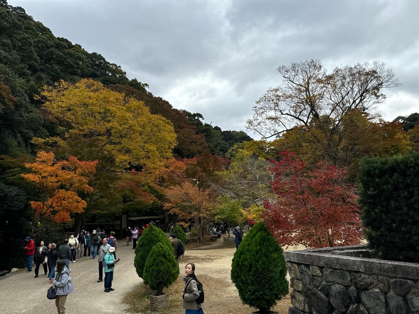 Teddyさんの投稿したフィールドメモ | YAMAP / ヤマップ