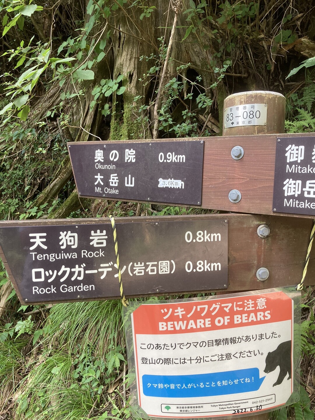 気まぐれひとり歩き 森林と渓流の御嶽で気... / Mocchiさんのモーメント | YAMAP / ヤマップ