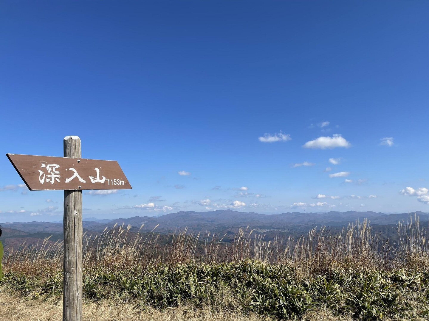 深入山 / moomin33さんの深入山の活動データ | YAMAP / ヤマップ