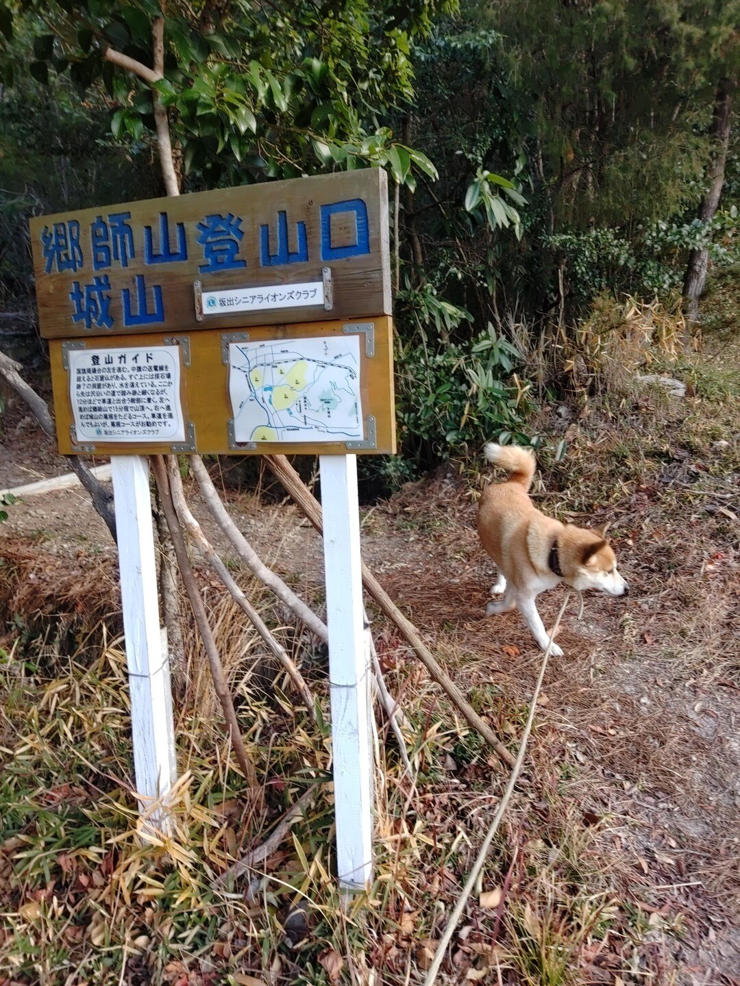 郷師山JACK-JACK / JACK-JACK23さんの城山・郷師山の活動データ | YAMAP / ヤマップ