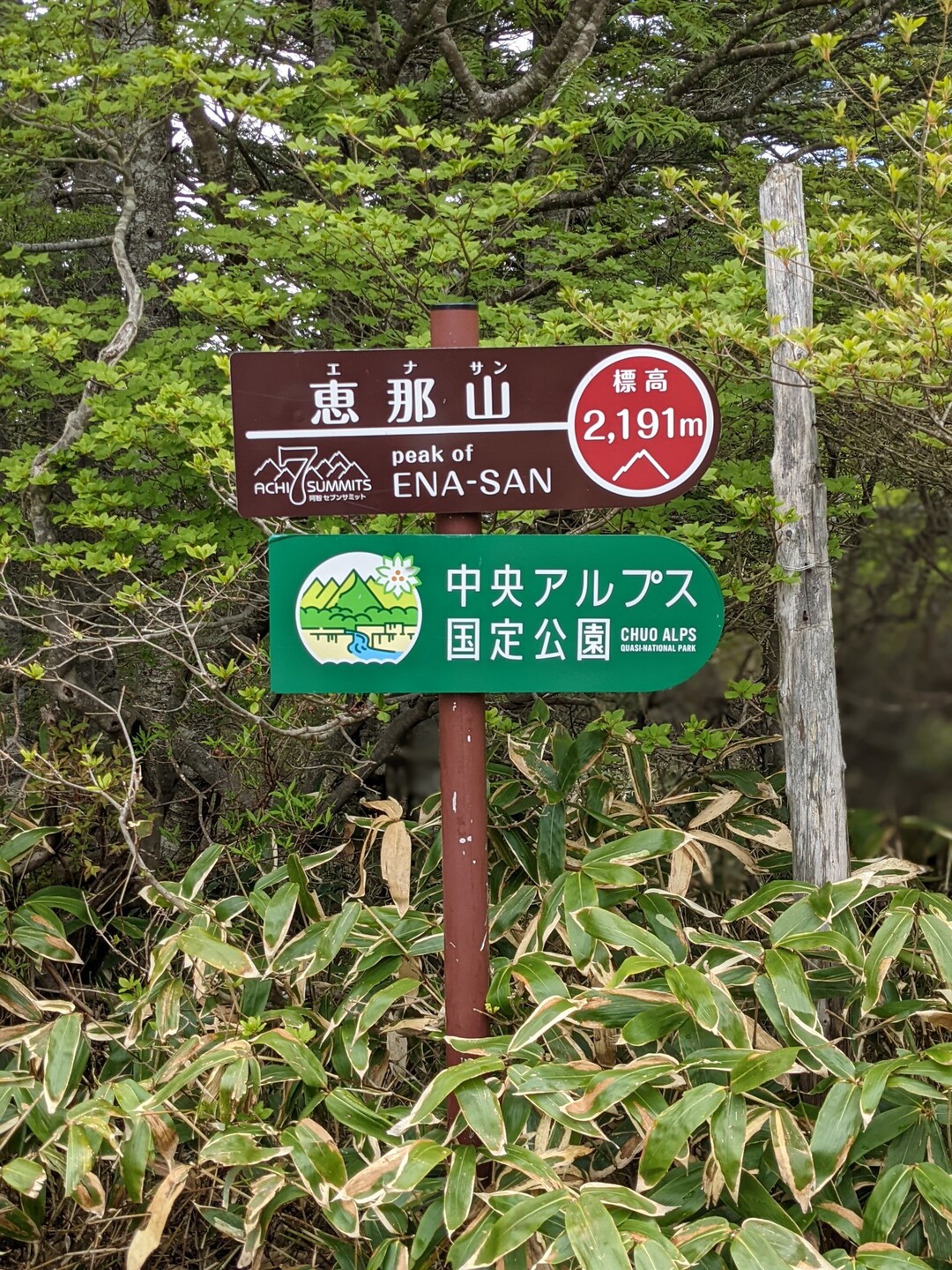 恵那山 / Sam&Azuさんの恵那山・大判山・神坂山の活動データ | YAMAP / ヤマップ