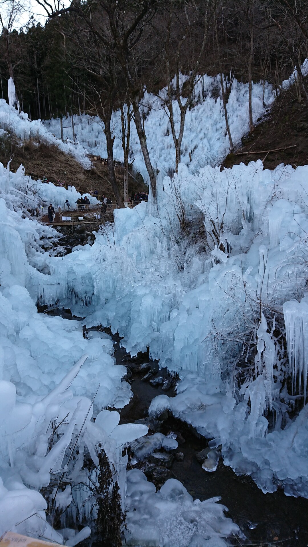 3つの峰を越えて芦ヶ久保の氷柱見物 / muugさんの武甲山・伊豆ヶ岳・小持山の活動データ | YAMAP / ヤマップ