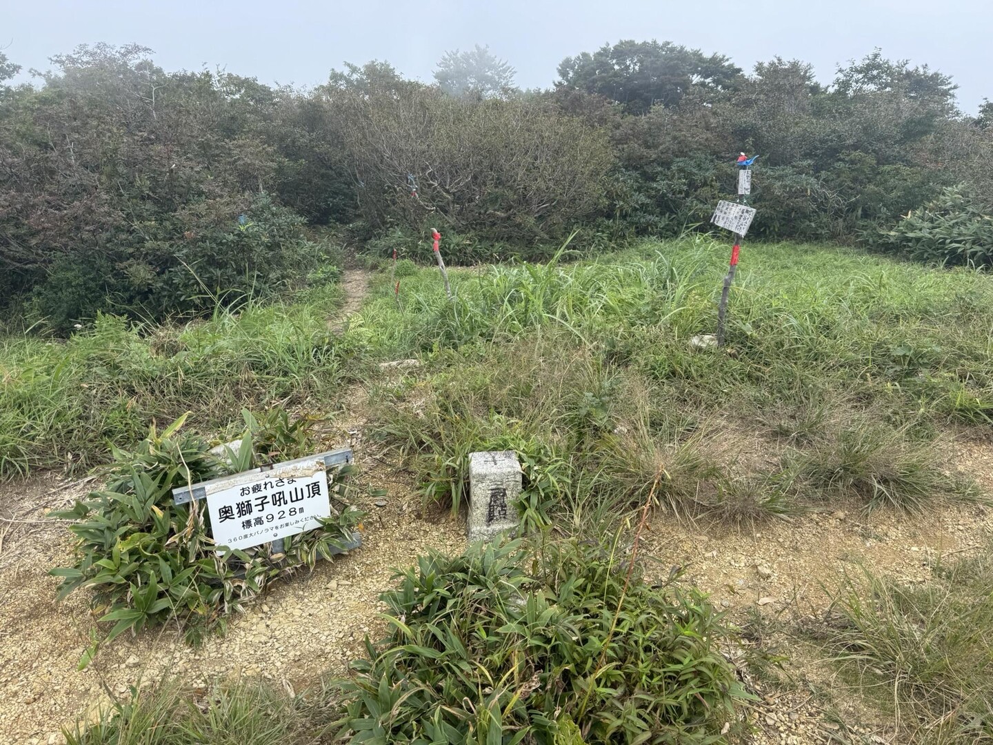 獅子吼トレリベンジ（成功👍） / TARUMIさんの奥獅子吼山・口三方岳・烏帽子山の活動データ | YAMAP / ヤマップ