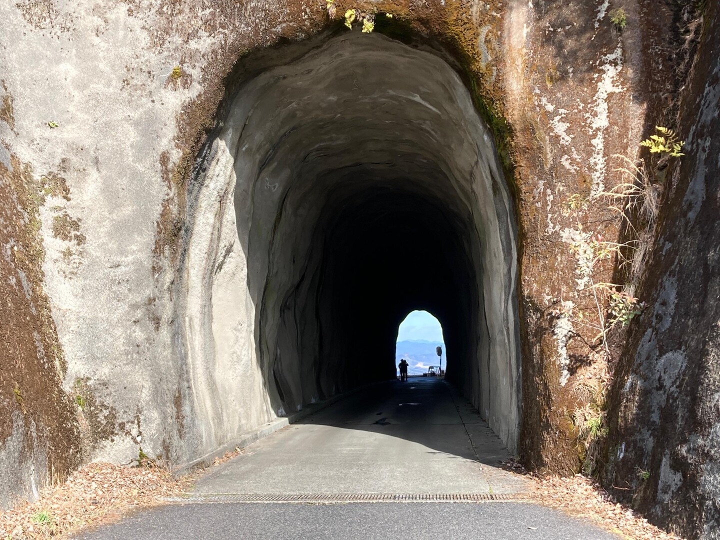 城山・明王山・金比羅山・迫間山・勝山 / noggyさんの各務原アルプス・八木三山の活動データ | YAMAP / ヤマップ