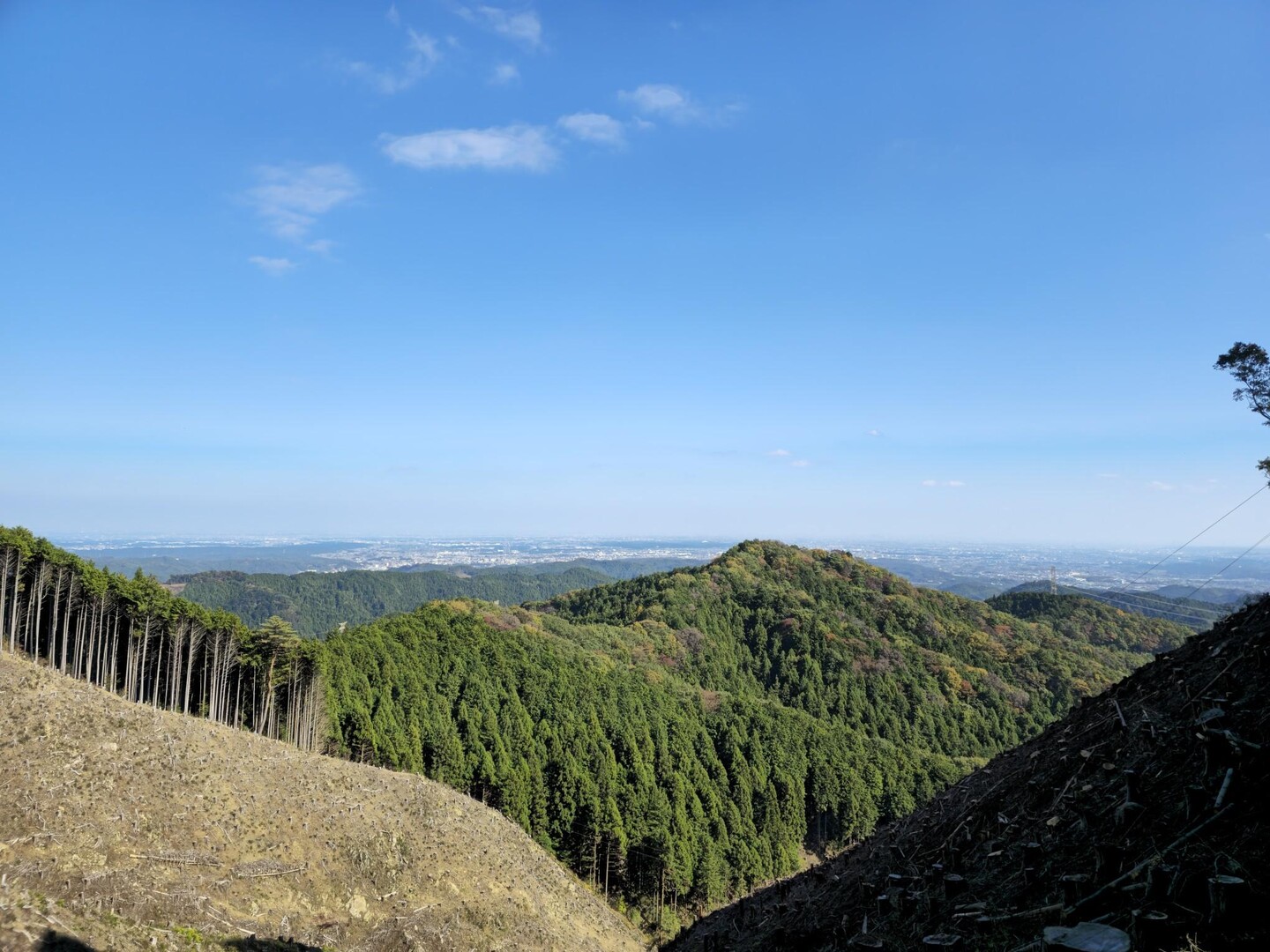 南沢山・タルクボ峰・日の出山・御岳山 / Tomさんの大岳山・御岳山・御前山の活動データ | YAMAP / ヤマップ