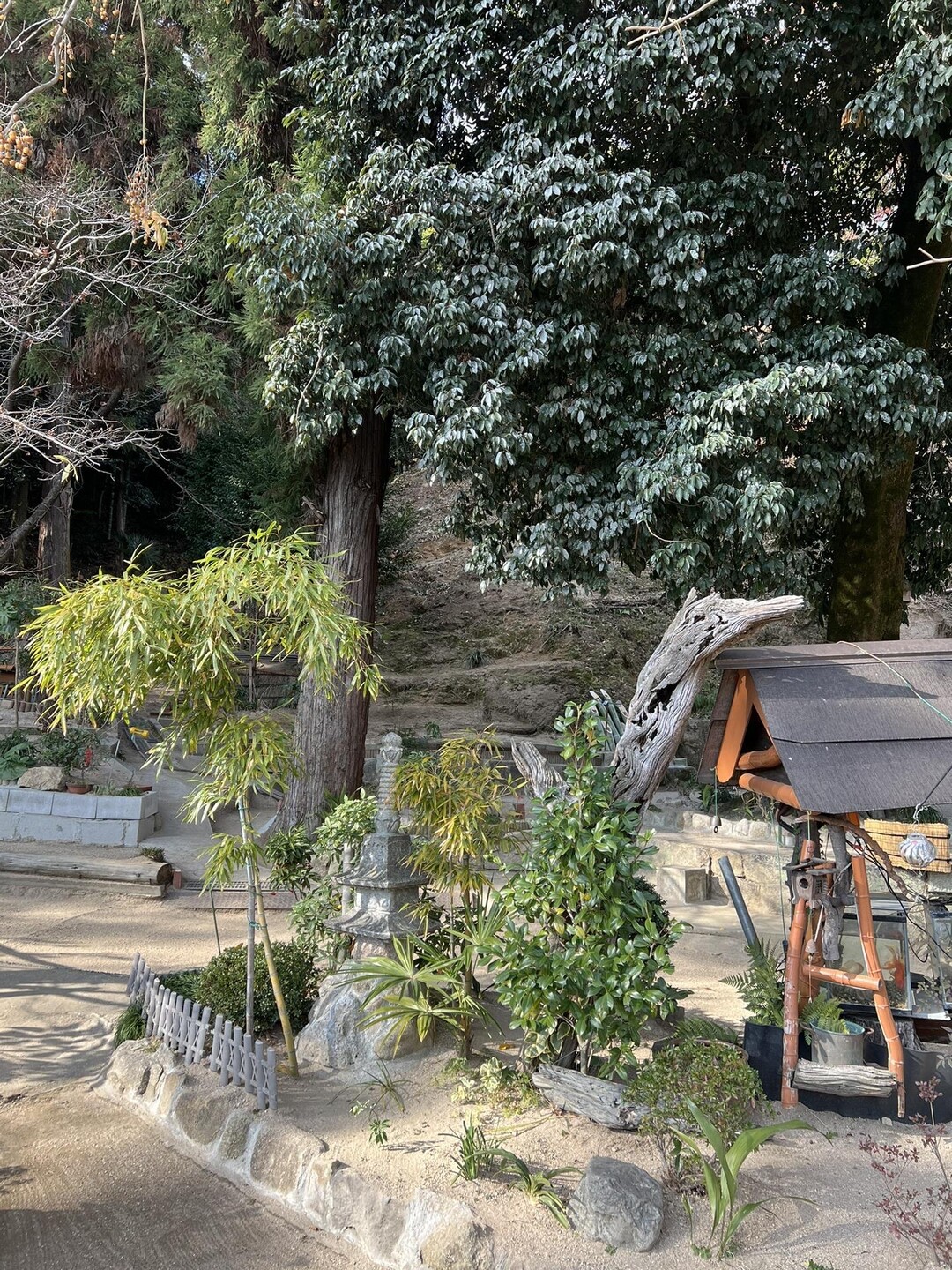 ぷらっとゆるRUN93 pic1 …... / 武田山のテングさんのモーメント | YAMAP / ヤマップ