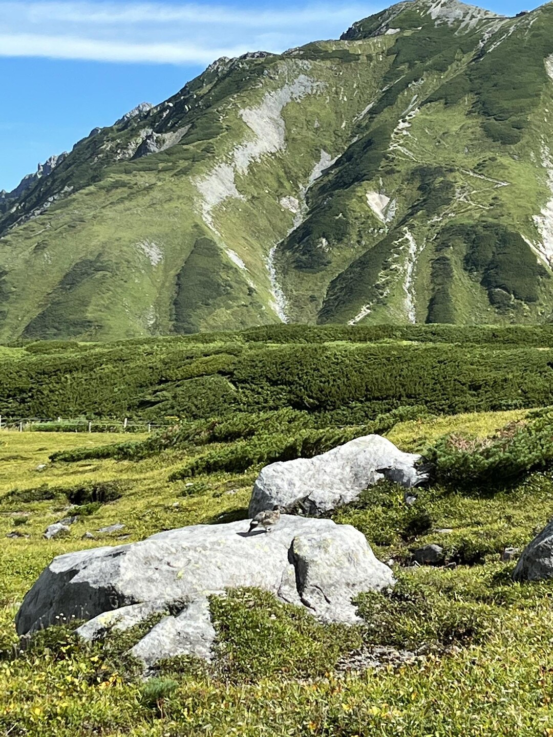 8月30日。久々にスタート忘れ😆 前日... / cocoさんのモーメント | YAMAP / ヤマップ