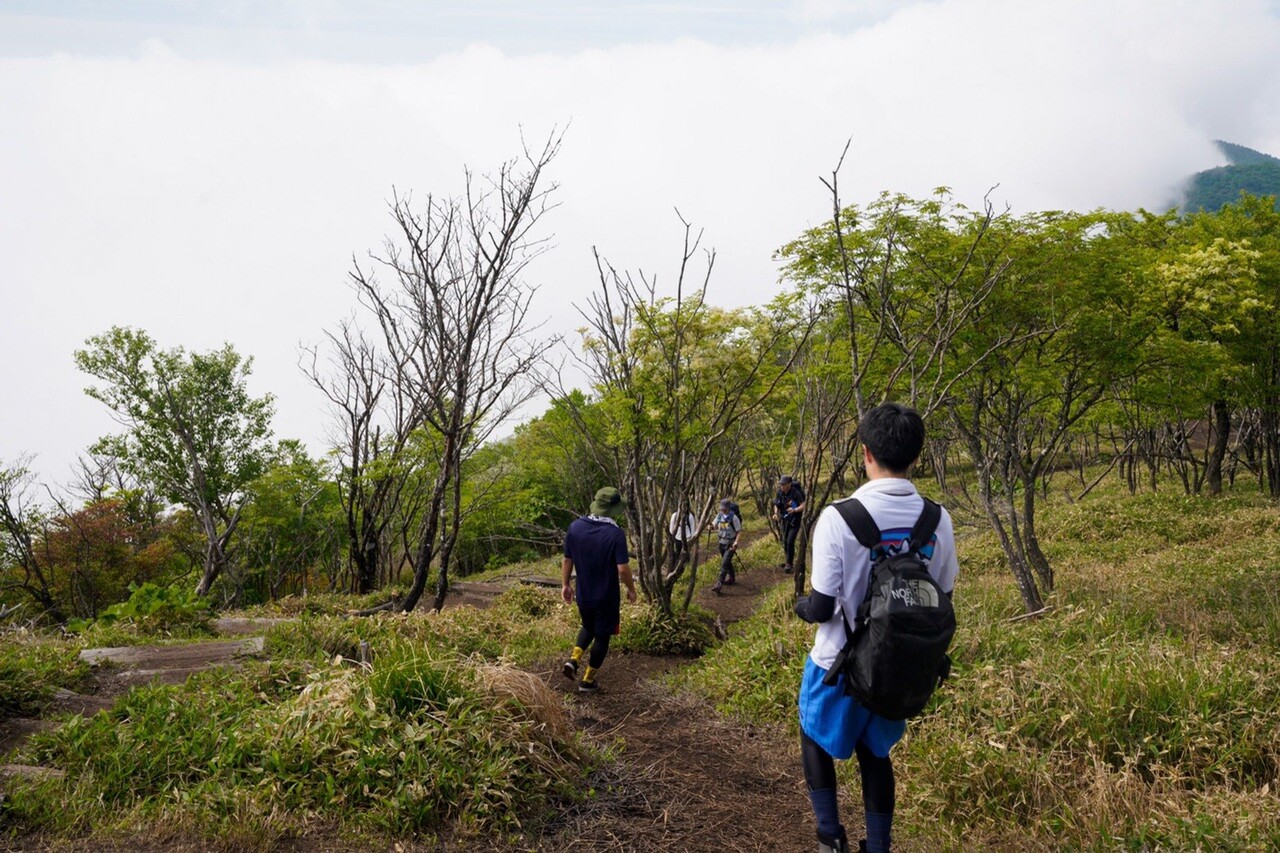 Yusukeのページ | YAMAP / ヤマップ