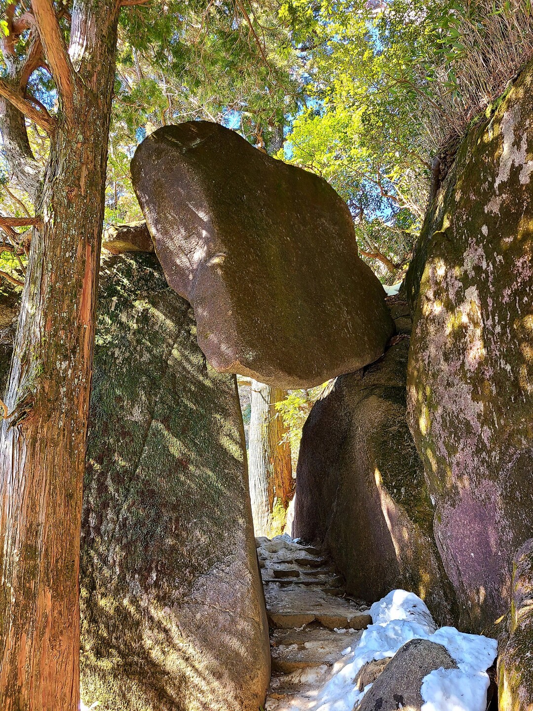 筑波山で健康祈願！ / 気紛れDAKARAさんの筑波山の活動データ | YAMAP / ヤマップ