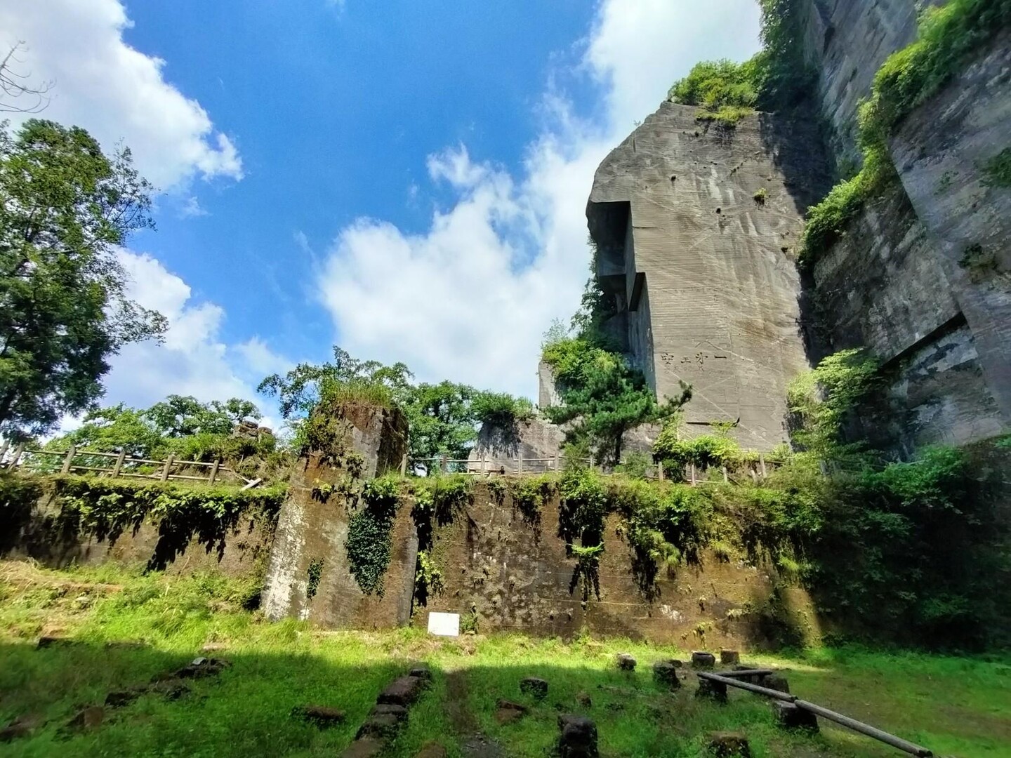 夏の鋸山 / TAKANOさんの鋸山の活動データ | YAMAP / ヤマップ