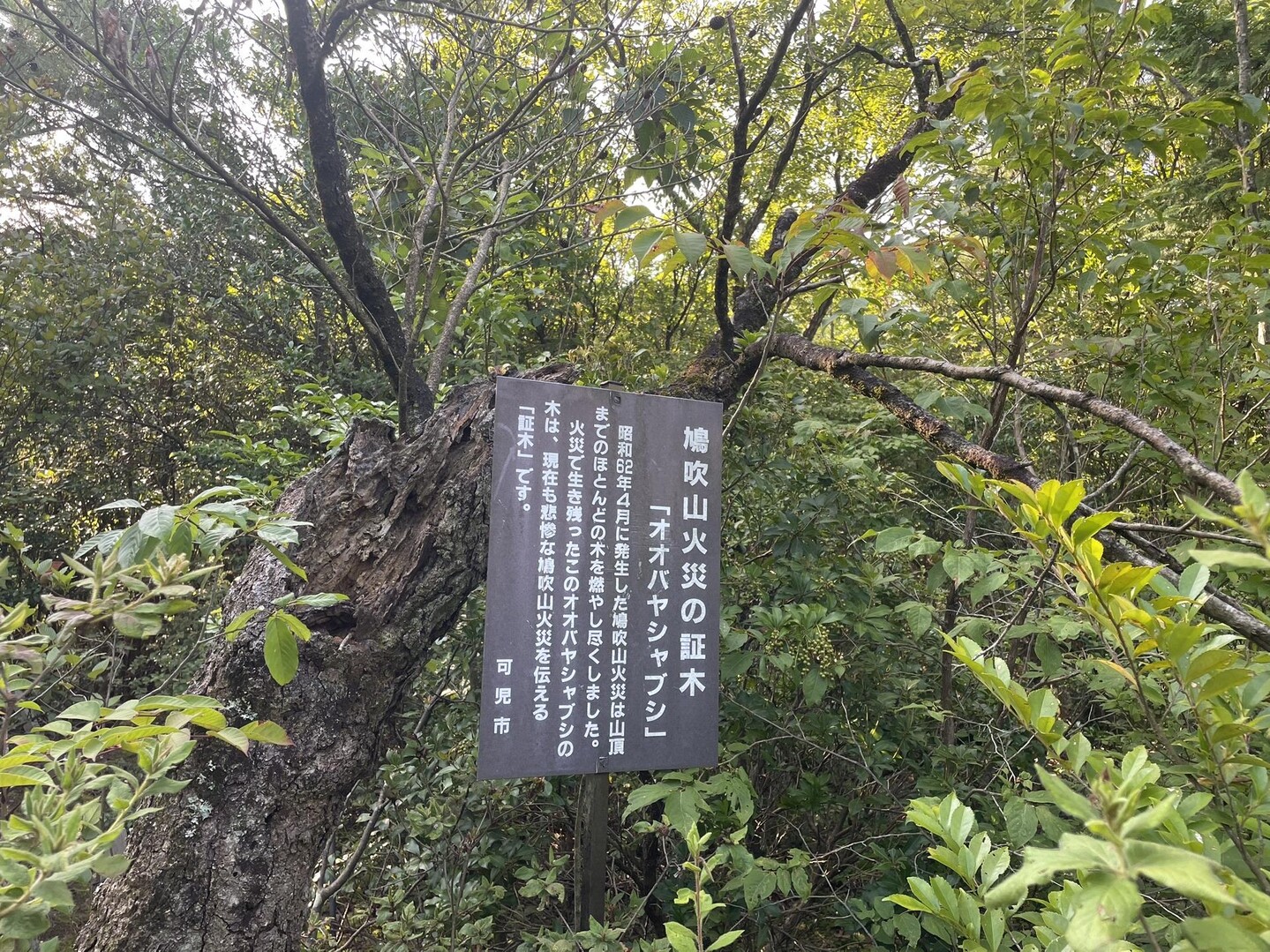 tsk-chaponさんの投稿したフィールドメモ | YAMAP / ヤマップ