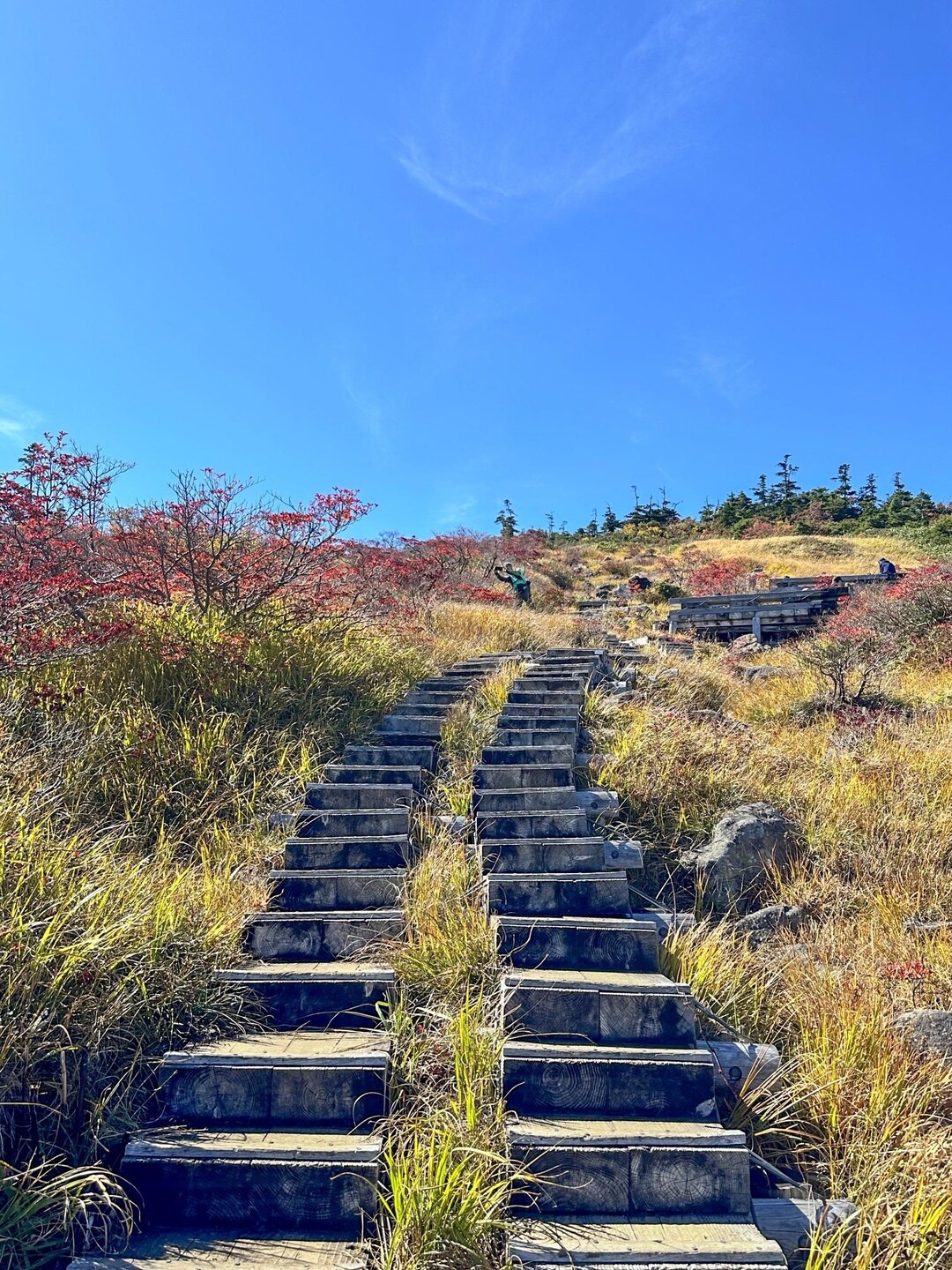 苗場山🍁🍁🍁 / cha_chan109さんの苗場山・赤倉山・佐武流山の活動データ | YAMAP / ヤマップ