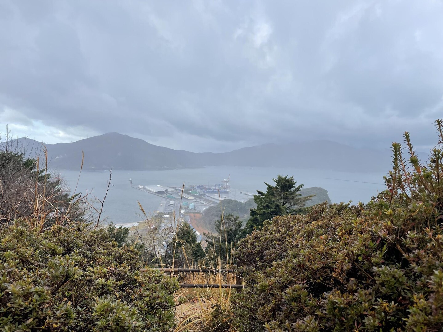 穏やかなうちに 天筒山 / miniさんの天筒山・中池見湿地の活動データ | YAMAP / ヤマップ