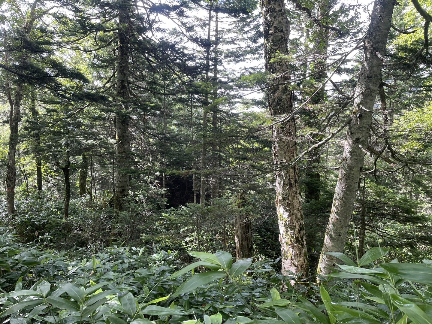 おすんさんの投稿したフィールドメモ | YAMAP / ヤマップ