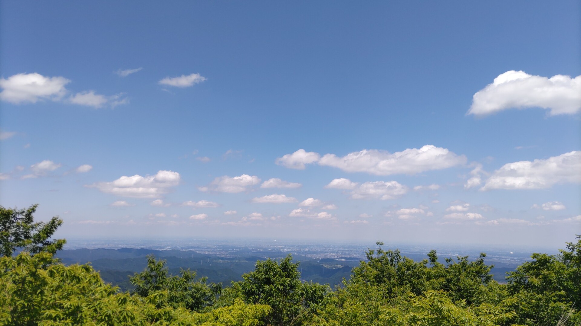岩茸石山・棒ノ折山（沢井駅in・さわらびの湯out） / clutch_tさんの高水山・岩茸石山・惣岳山の活動データ | YAMAP / ヤマップ