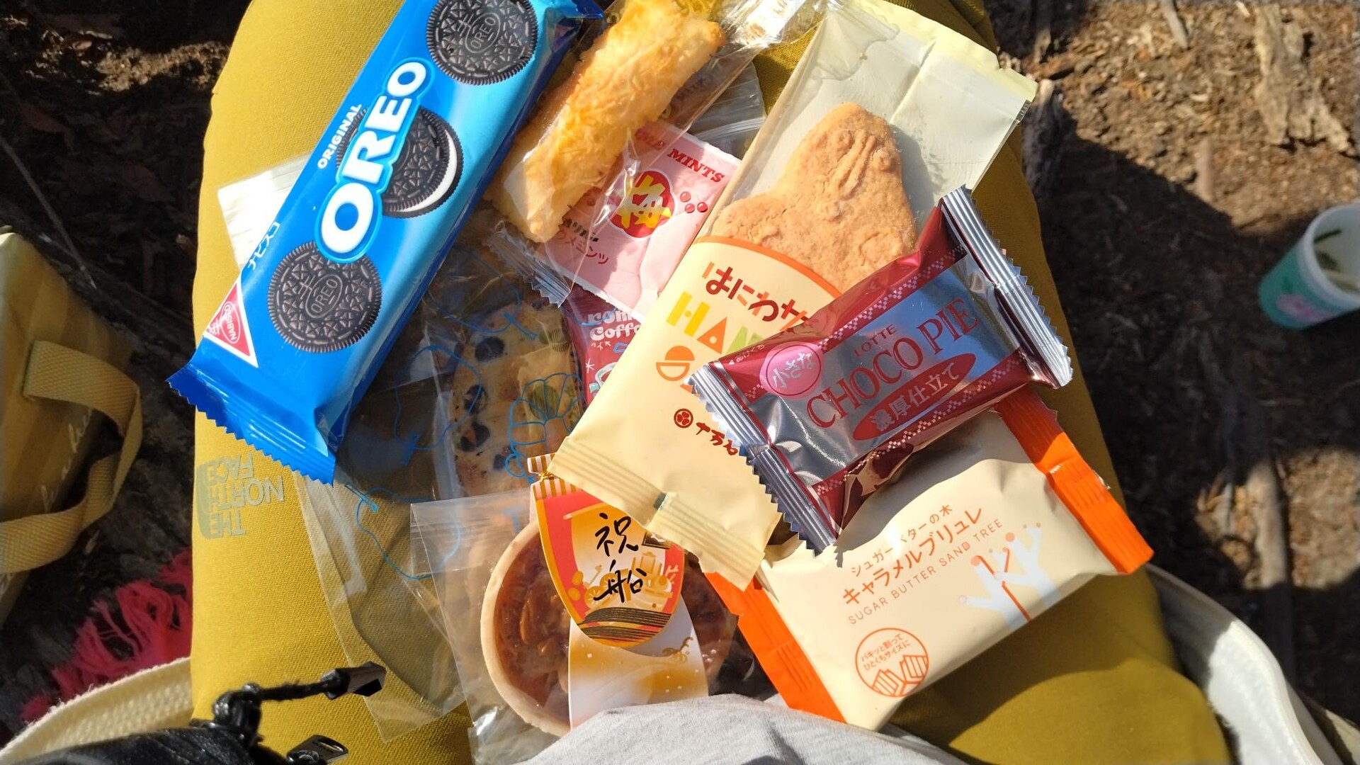 龍新アルプス＋新田山 ①本日のおやつ交換... / konbuさんのモーメント | YAMAP / ヤマップ