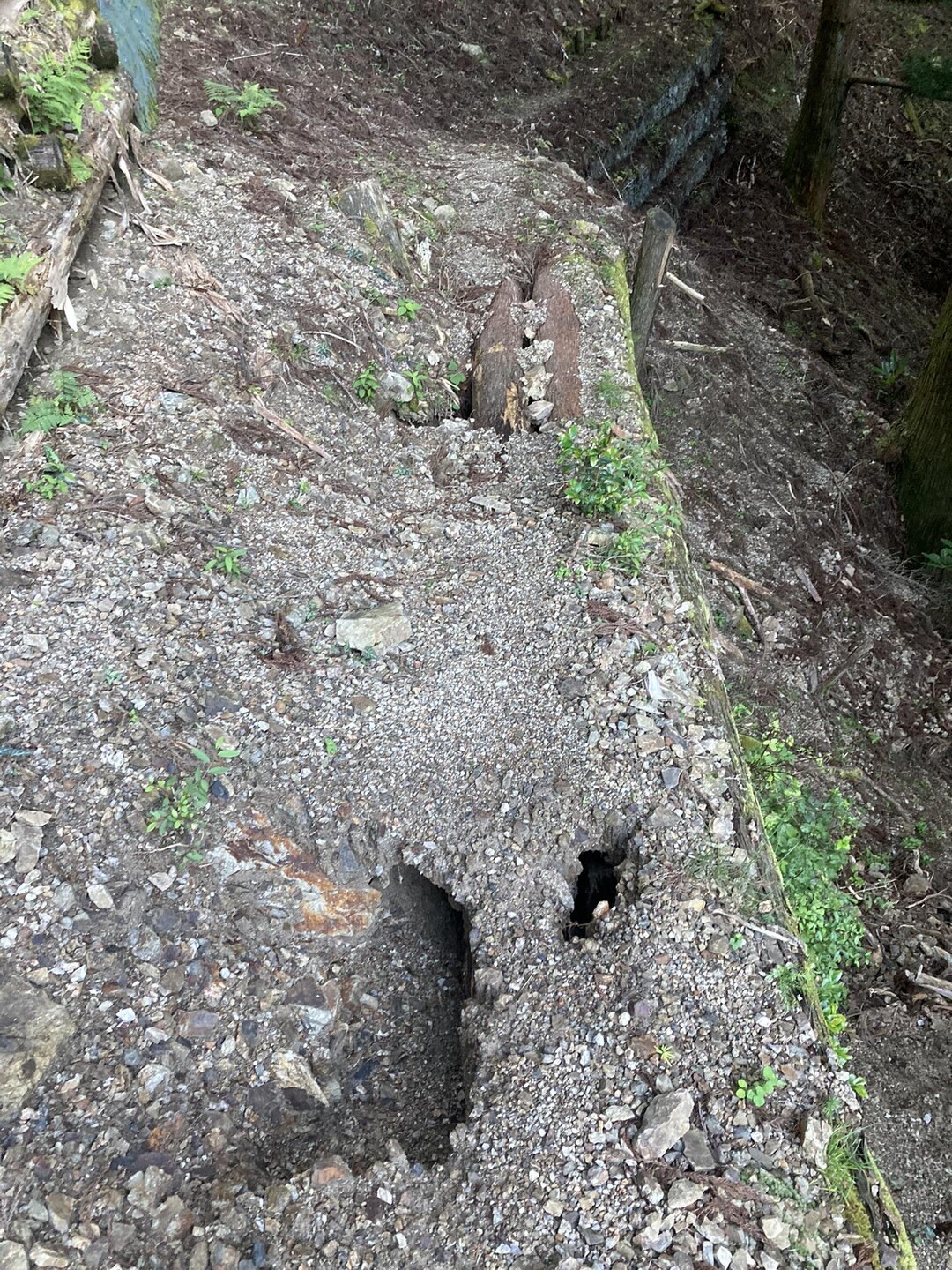 akimetalさんの投稿したフィールドメモ | YAMAP / ヤマップ