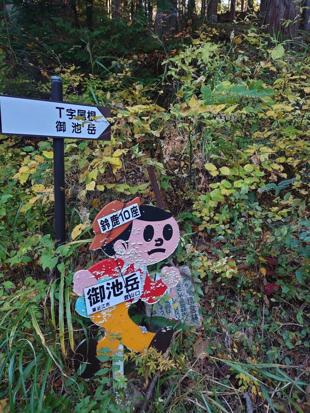 御池岳〜土倉岳周回コース / Umiさんの天狗堂の活動データ | YAMAP / ヤマップ