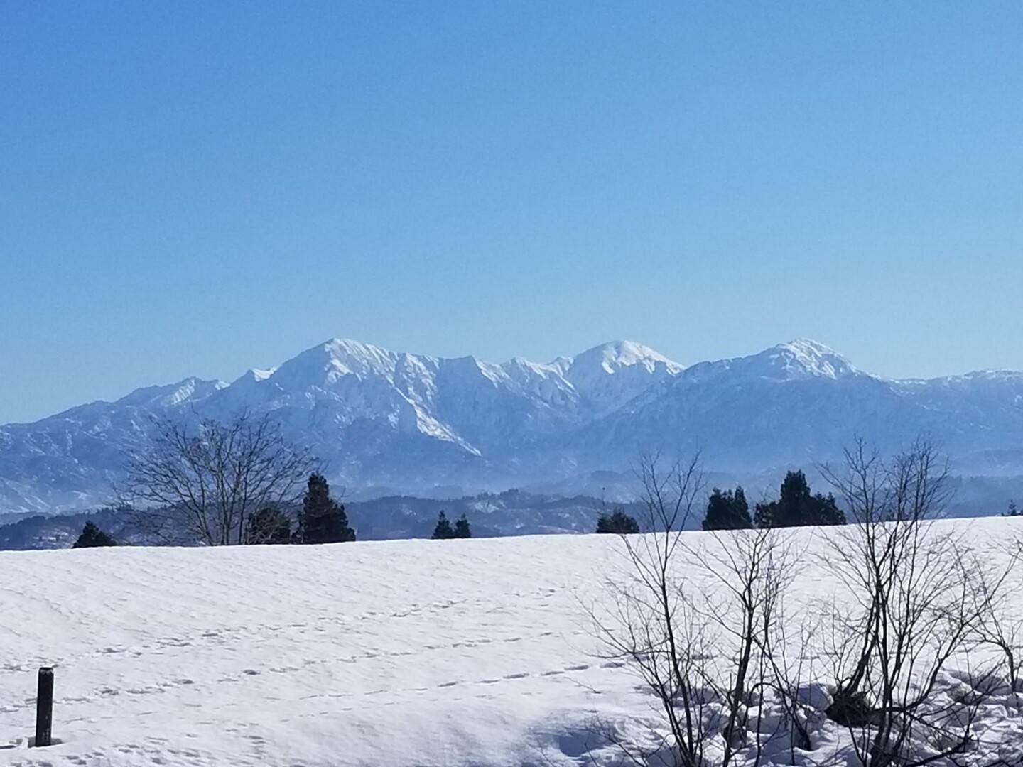 快晴の山本山 / ta-さんの時水城山・丸山の活動データ | YAMAP / ヤマップ