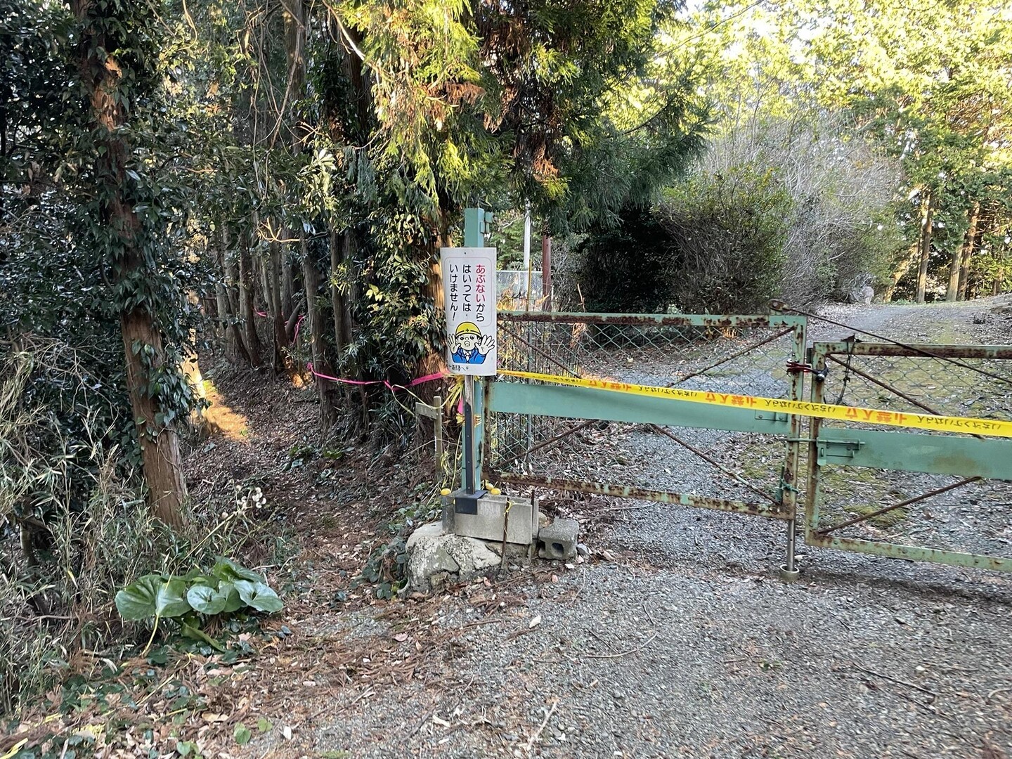 yumecampさんの投稿したフィールドメモ | YAMAP / ヤマップ