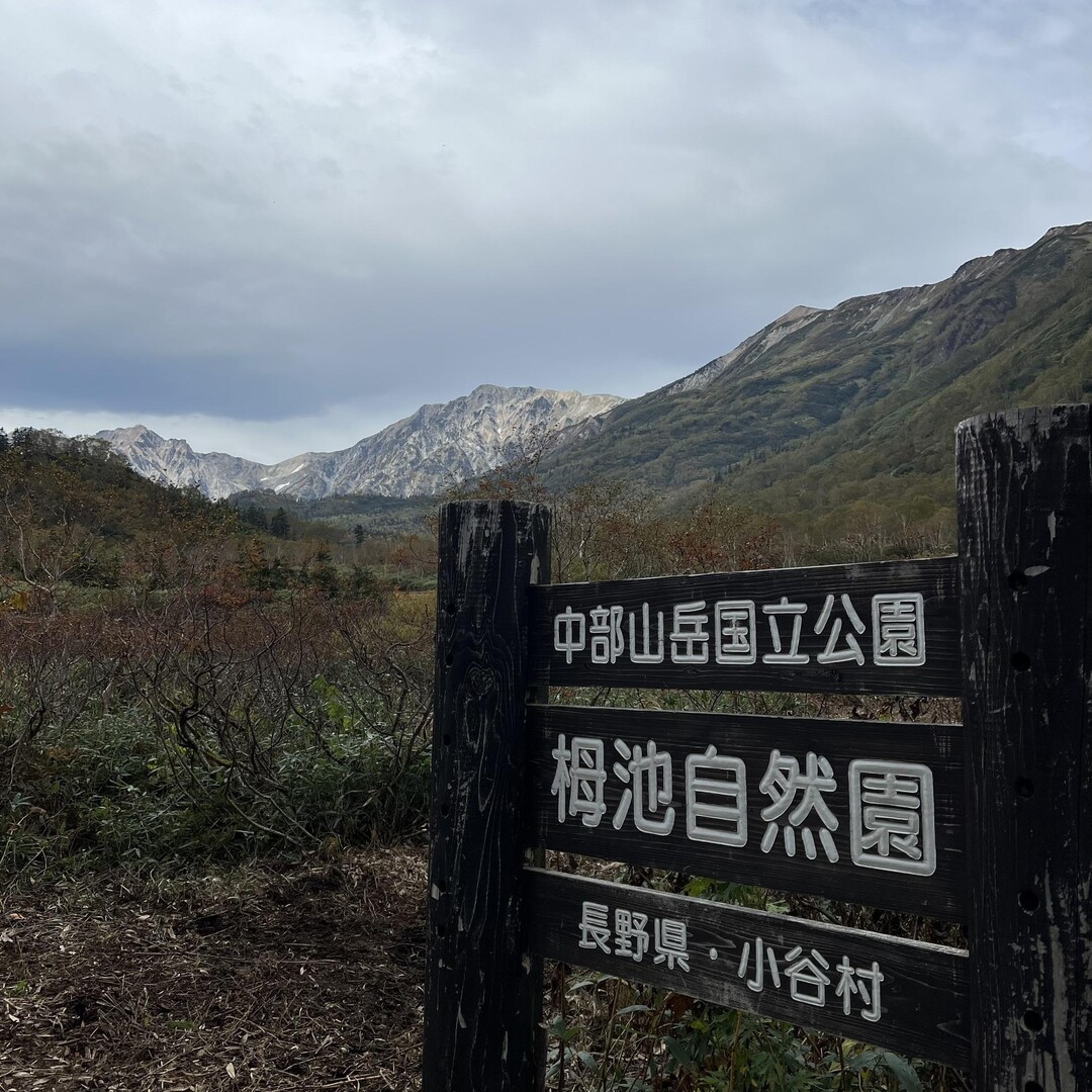 栂池自然園 / hanabouさんの白馬岳・小蓮華山の活動データ | YAMAP / ヤマップ