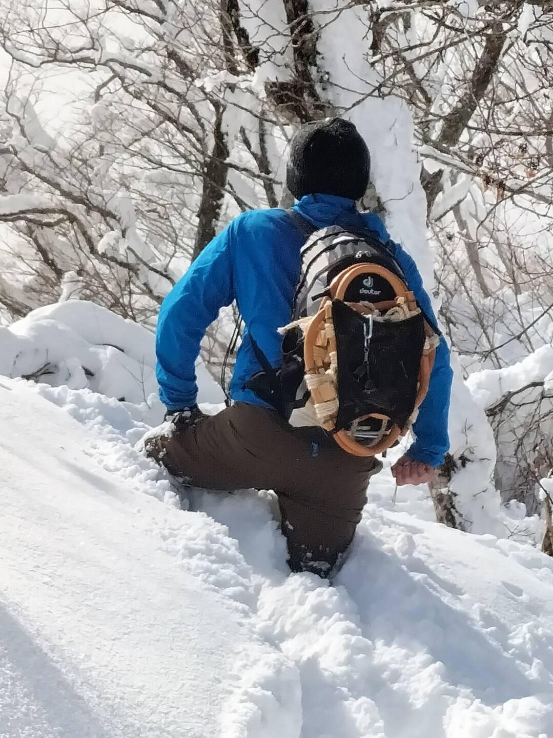 117【ラッセルやおとめ】八乙女山 / がんもさんの牛岳の活動データ | YAMAP / ヤマップ
