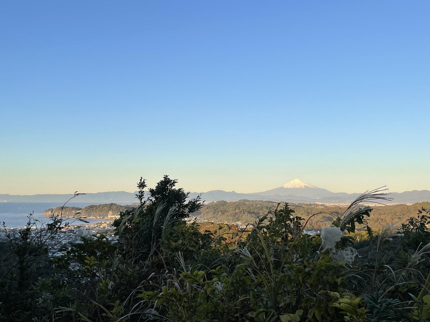 久しぶりに富士山見えた。 / shomin🍊さんのモーメント | YAMAP / ヤマップ