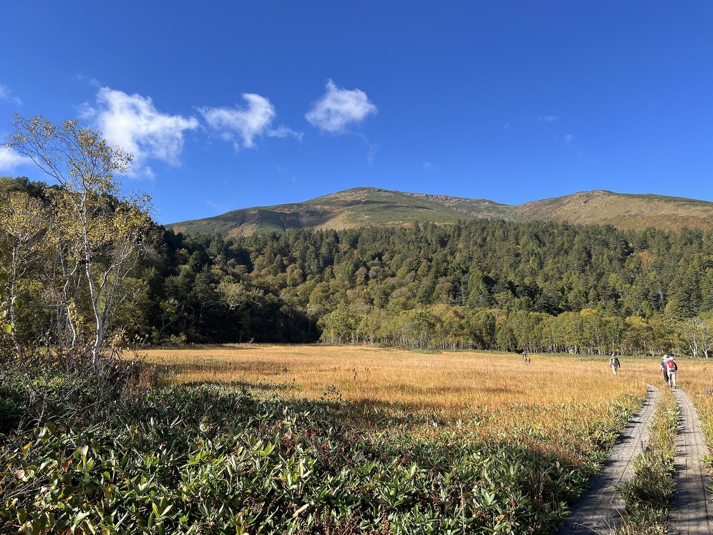 至仏山・小至仏山 20241013 / yukioさんの尾瀬・燧ヶ岳の活動データ | YAMAP / ヤマップ