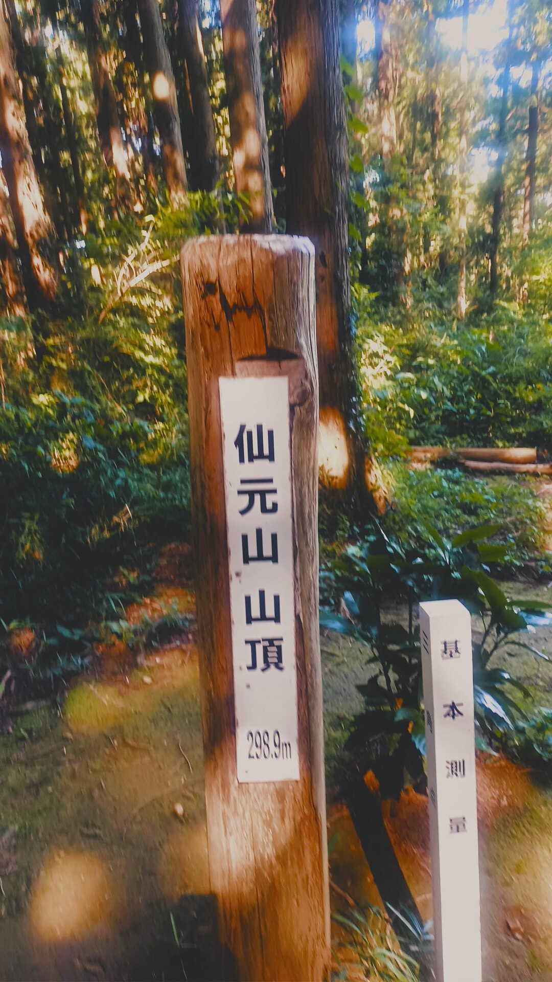 東松山駅から仙元山へ / man forestさんの宝登山・長瀞アルプス・不動山・陣見山・鐘撞堂山の活動データ | YAMAP / ヤマップ