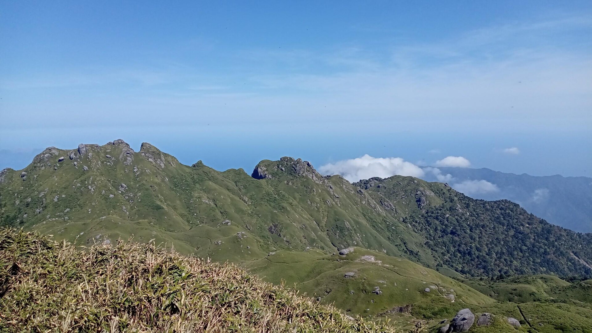 宮之浦岳(屋久島) / tksさんの屋久島・宮之浦岳の活動データ | YAMAP / ヤマップ