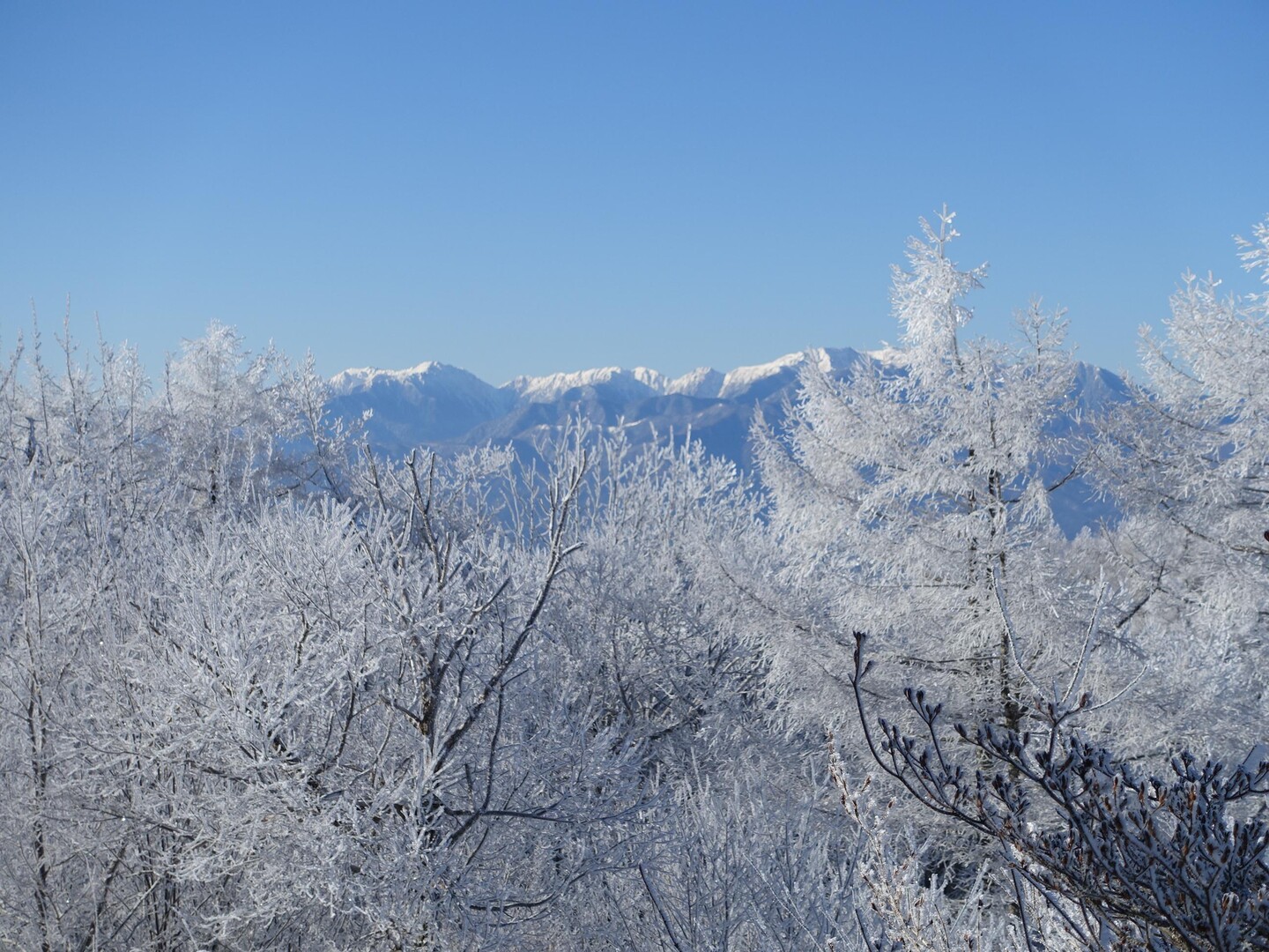 ️守屋山 / N7さんの守屋山の活動データ | YAMAP / ヤマップ