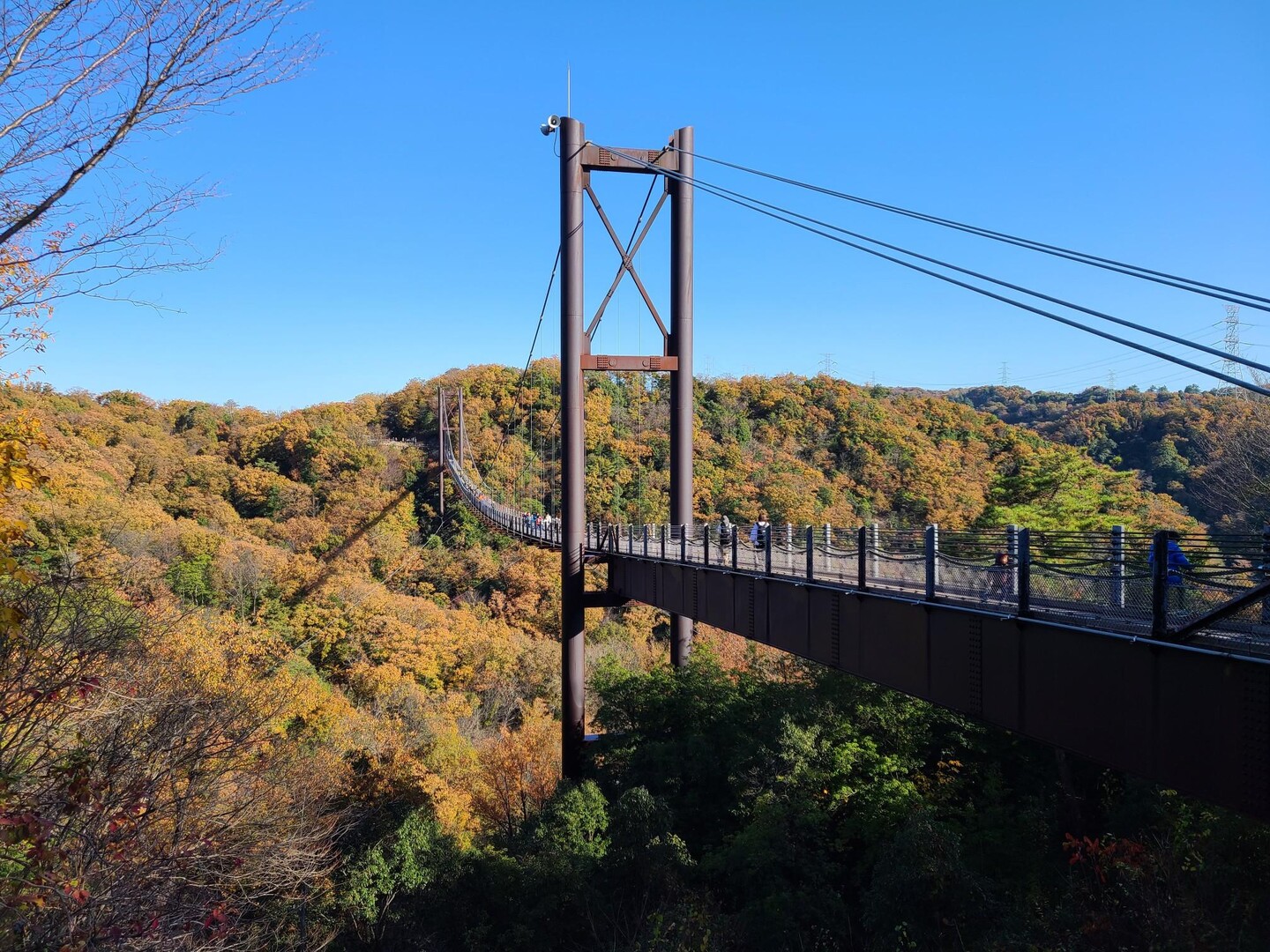 ほしだ園地ハイキング🍁🍂 / しんひろさんの交野山・国見山の活動データ | YAMAP / ヤマップ