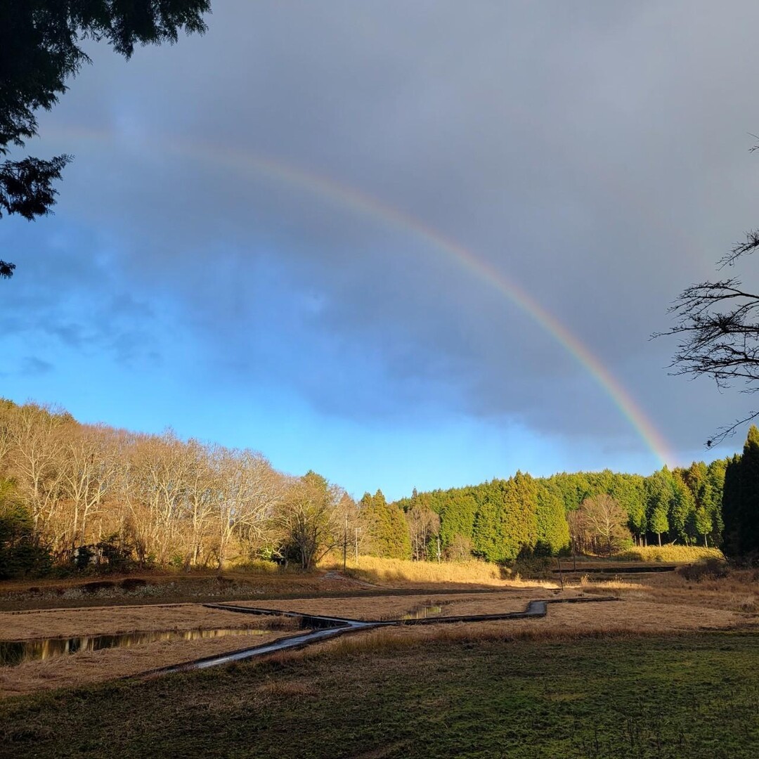 龍は出るのか龍王ヶ淵 / goさんの額井岳の活動データ | YAMAP / ヤマップ