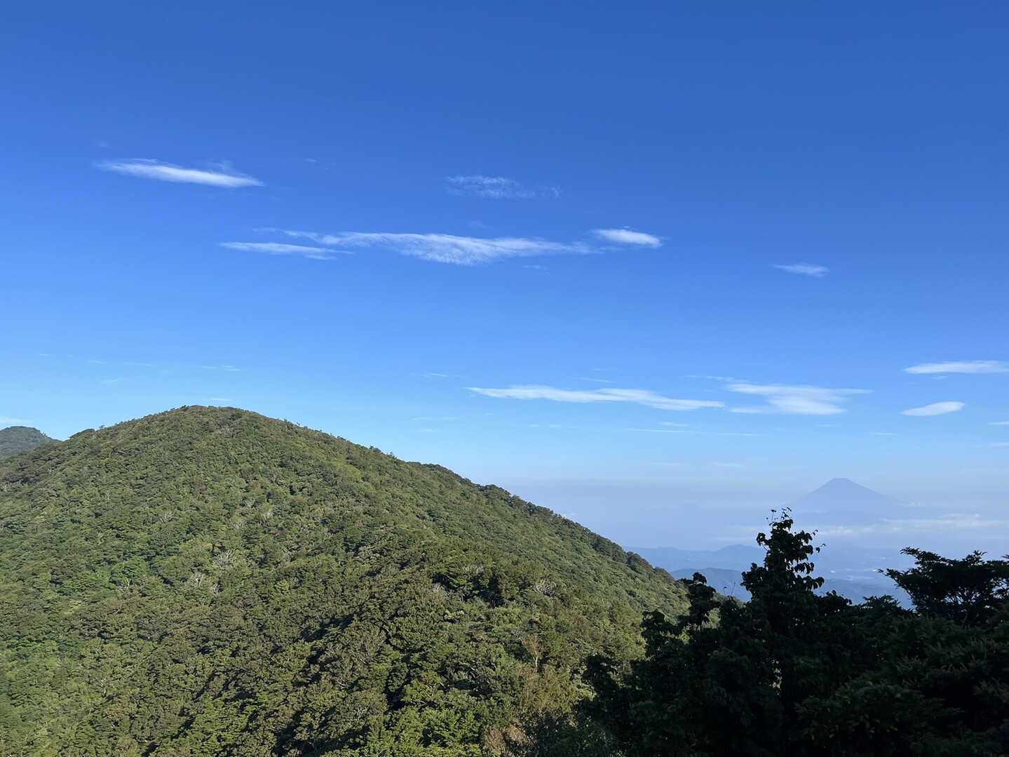 久しぶりの登山、風が気持ちいい / ryunosukeさんのモーメント | YAMAP / ヤマップ