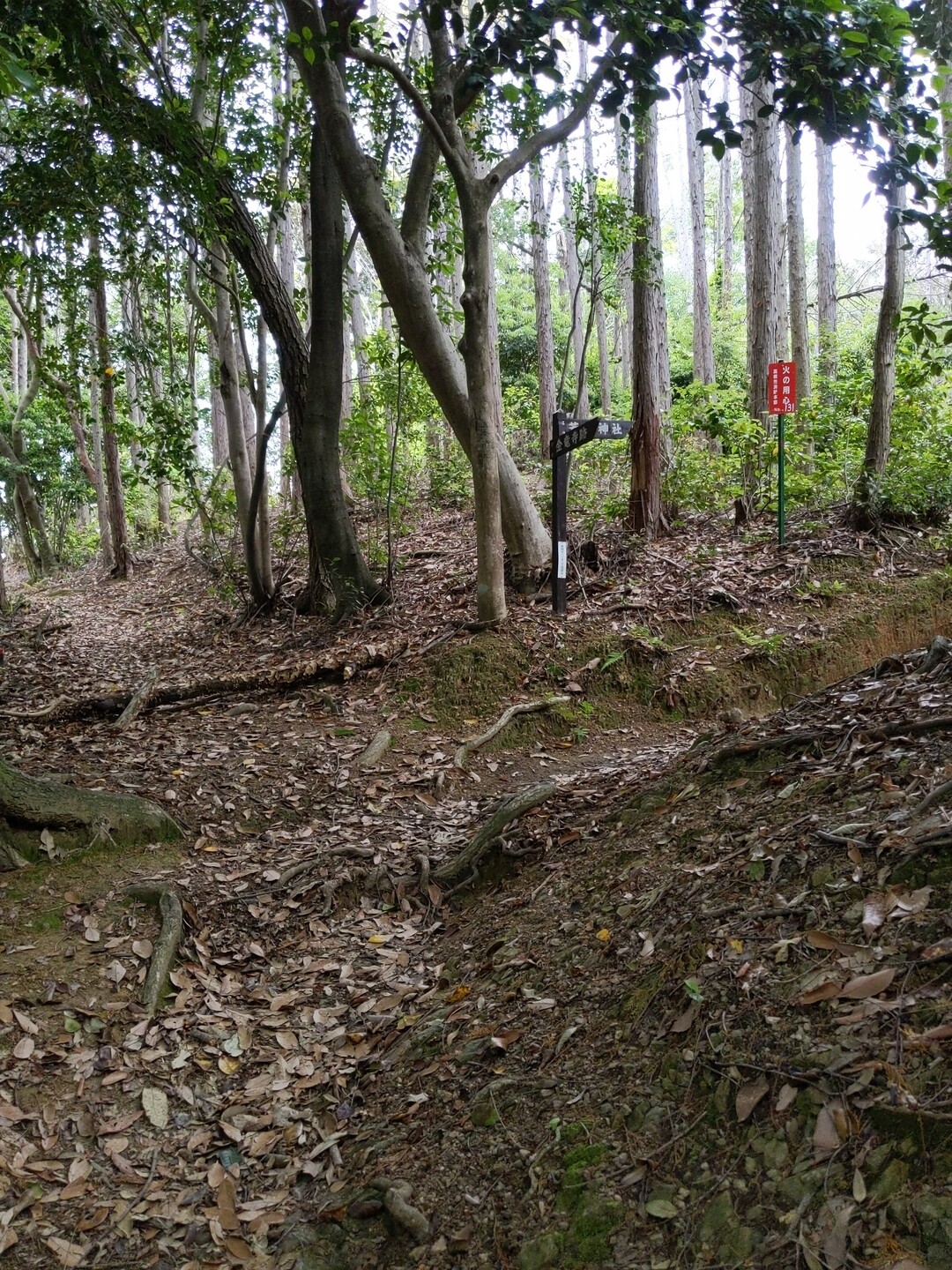 u-minさんの投稿したフィールドメモ | YAMAP / ヤマップ