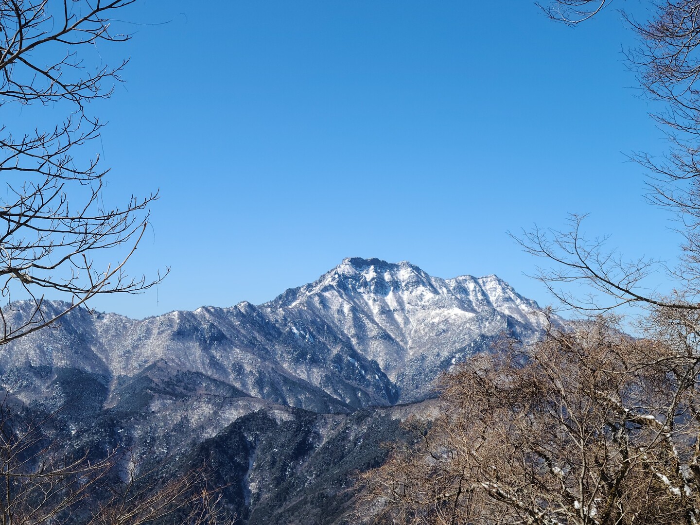 【ソロ活動】やむなく撤退(瓶ヶ森・瓶壺ルート) / kaz23さんの石鎚山・堂ヶ森・二ノ森の活動データ | YAMAP / ヤマップ