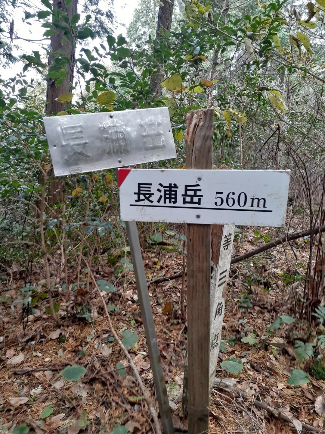 長浦岳 / robinさんの長浦岳の活動データ | YAMAP / ヤマップ