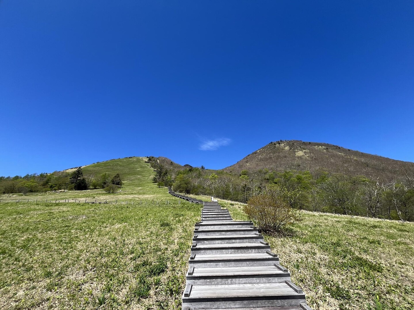 霧降高原散策・小丸山 / tomokoさんの女峰山・赤薙山・大真名子山の活動データ | YAMAP / ヤマップ
