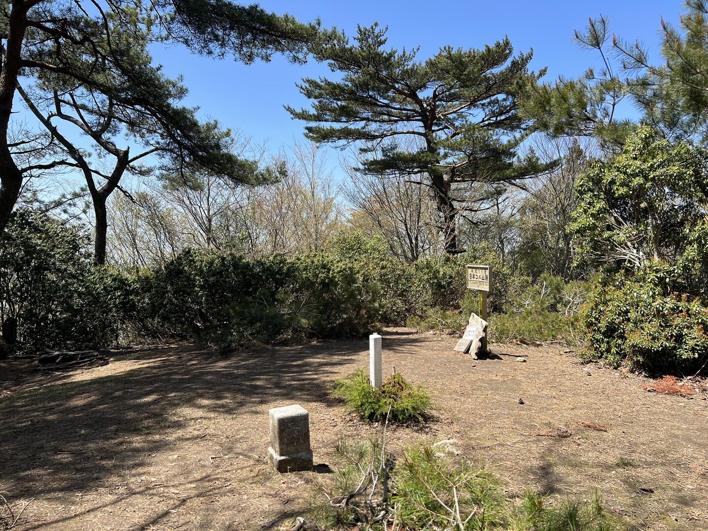 衣掛山・日本コバ / togonovoさんの日本コバの活動データ | YAMAP / ヤマップ