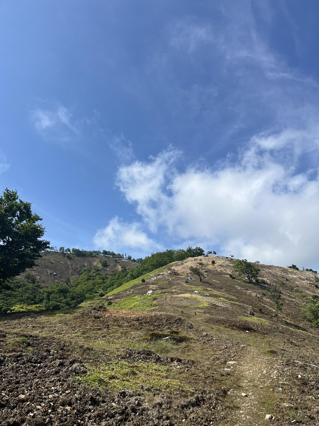桧塚・桧塚奥峰・明神岳・前山 / yattinさんの桧塚奥峰・明神岳・薊岳の活動データ | YAMAP / ヤマップ