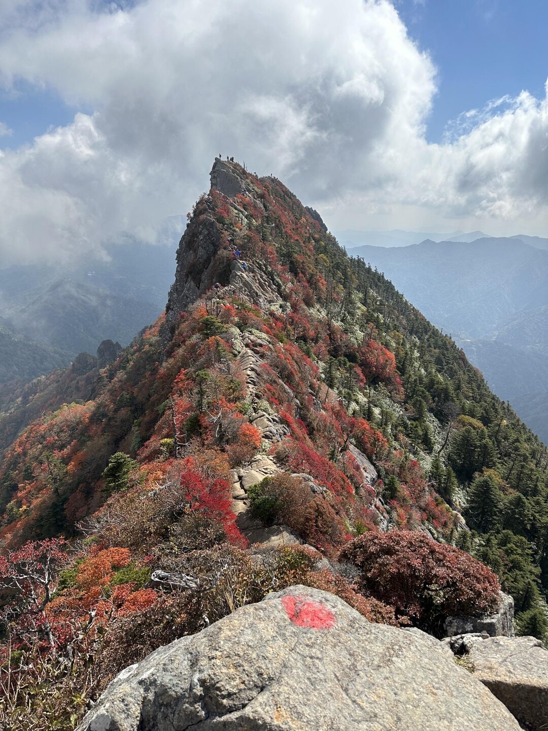 石鎚山 / Naru minさんの石鎚山・堂ヶ森・二ノ森の活動データ | YAMAP / ヤマップ