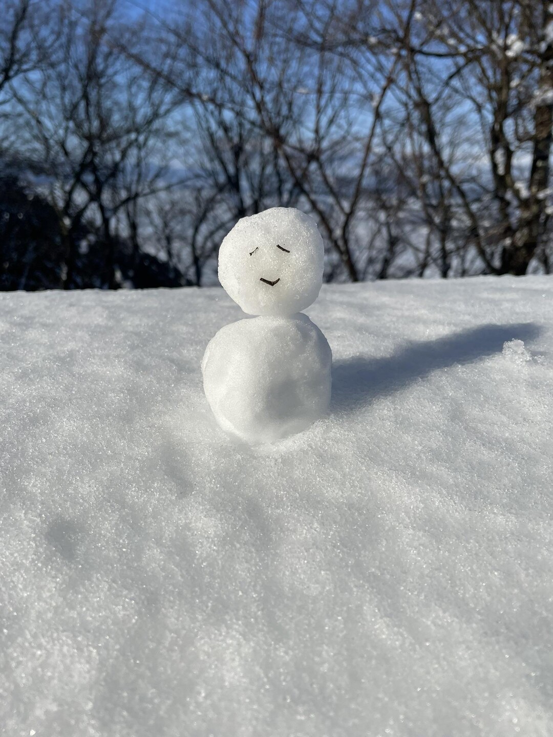 文殊山 / muさんの文殊山の活動データ | YAMAP / ヤマップ