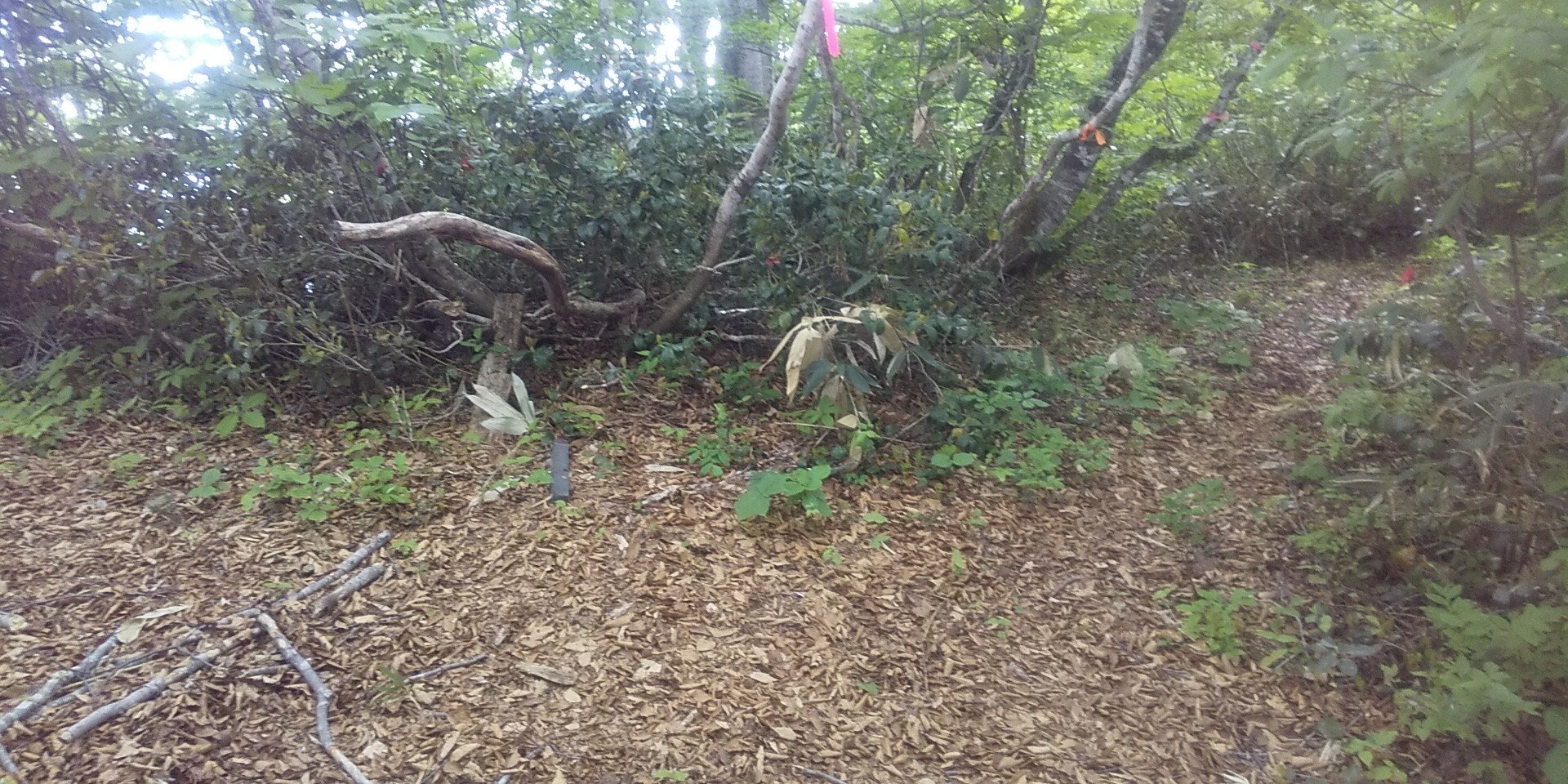 tottinさんの投稿したフィールドメモ | YAMAP / ヤマップ