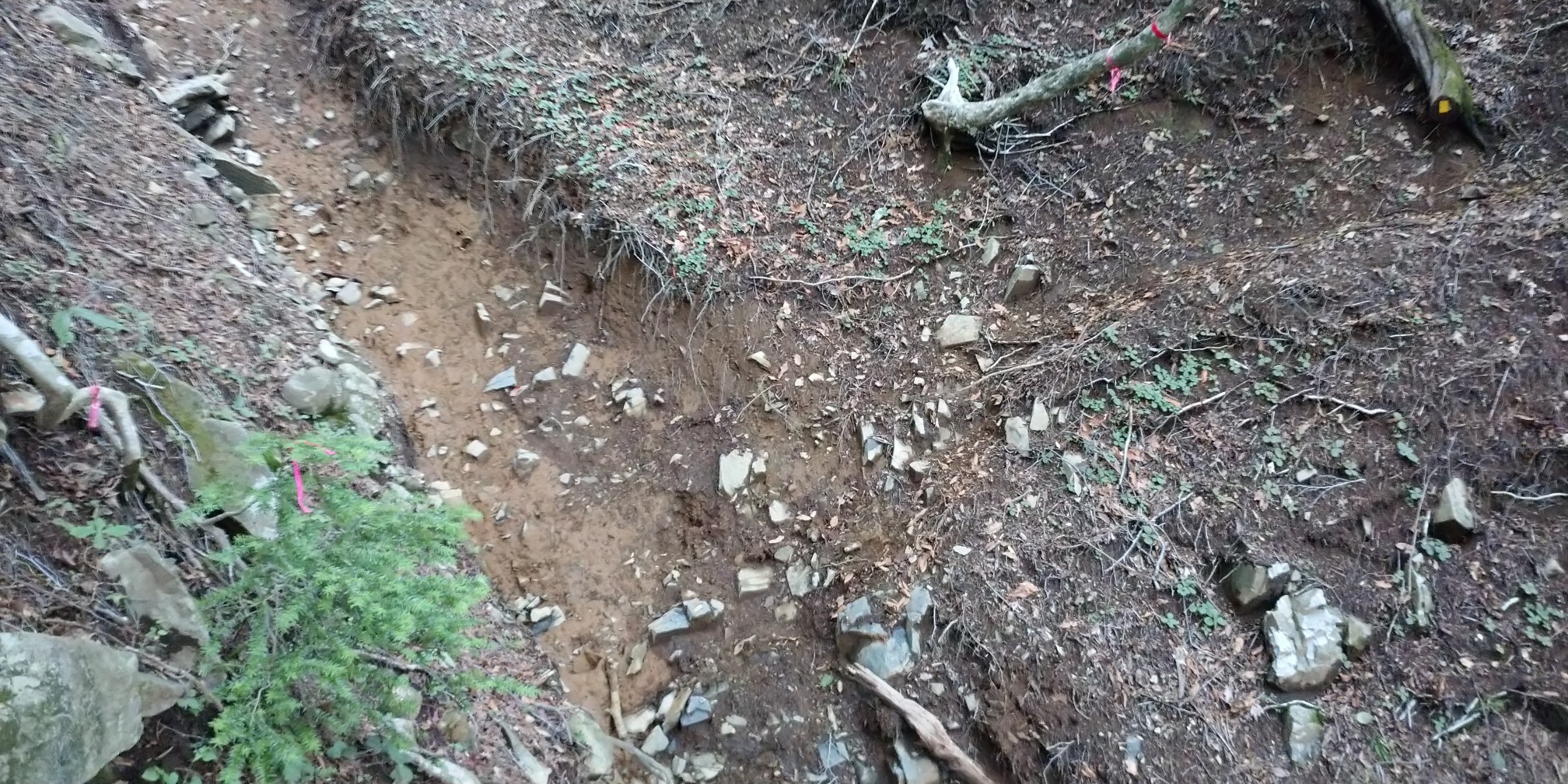 ノリさんの投稿したフィールドメモ | YAMAP / ヤマップ