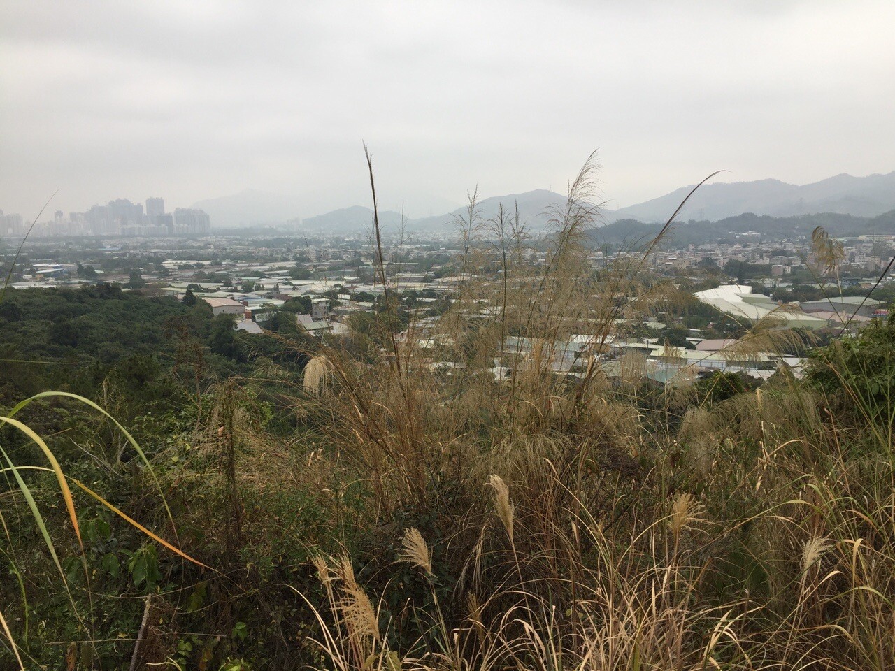 20201225公庵山 / Eno-chanさんの林村郊野公園の活動データ | YAMAP / ヤマップ