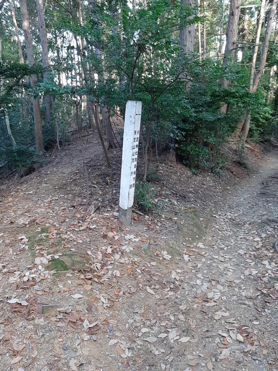 Mr.Kobaさんの投稿したフィールドメモ | YAMAP / ヤマップ