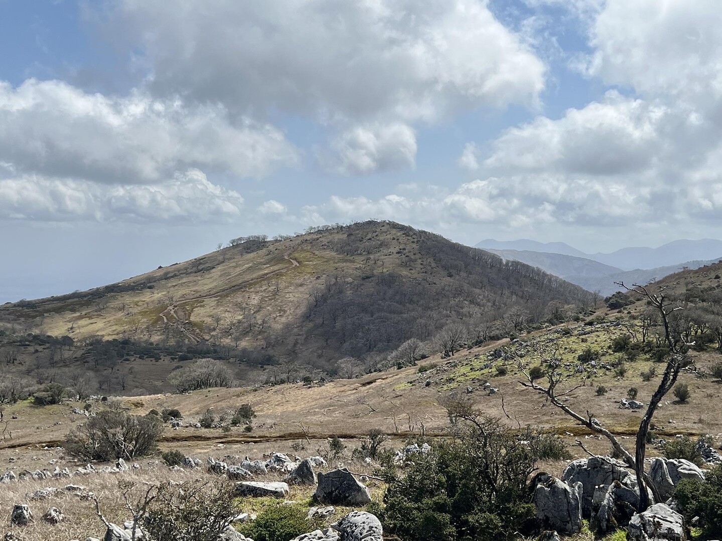 藤原岳・天狗岩 / ZO-kunさんの藤原岳・御池岳の活動データ | YAMAP / ヤマップ