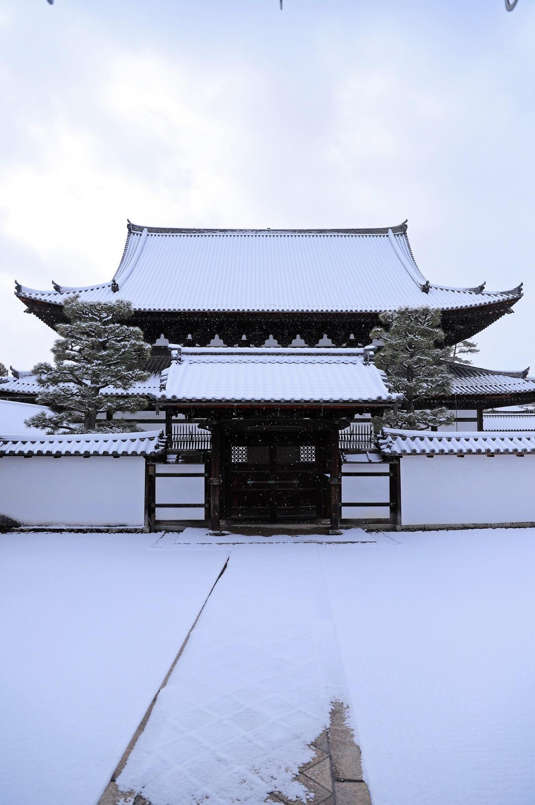 この寒波で京都もけっこう積もりました⛄️... / bunさんのモーメント | YAMAP / ヤマップ